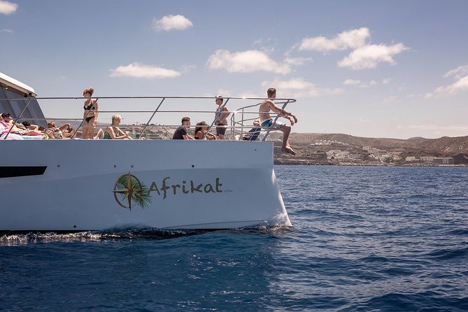 Afrikat Afternoon Cruise - What Travelers Say: Authentic Perspectives