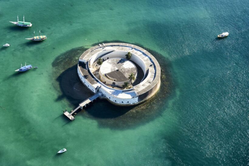 Afro-Brazilian Roots Private City Tour in Salvador - Discovering Salvador’s Afro-Brazilian Heritage