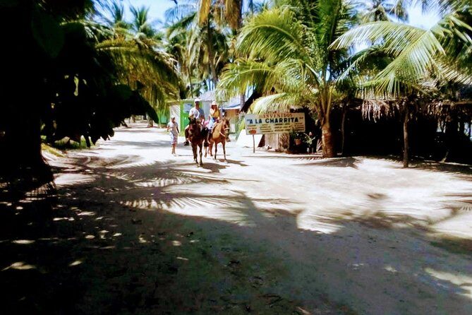 Afro-Mex Village Experience -Horseback Ride -Turtle Hatch & Crocs - A Detailed Look at the Afro-Mex Village Experience