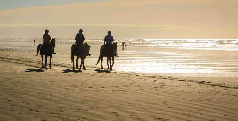 *Afro-Mex Village Horse Ride, Turtle Release Crocodile Farm - Final Thoughts: Is It Worth It?