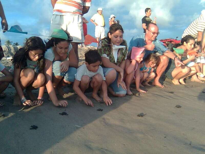 *Afro-Mex Village Horse Ride, Turtle Release Crocodile Farm - FAQ