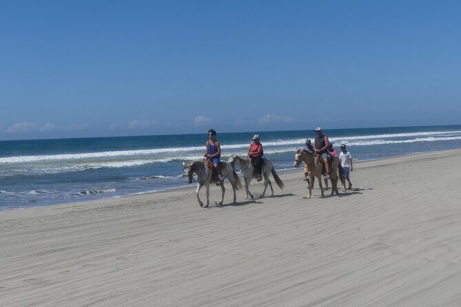 Afro-Mexican Village: Horseback Beach Ride, Crocs & Cliff Diver - Introduction