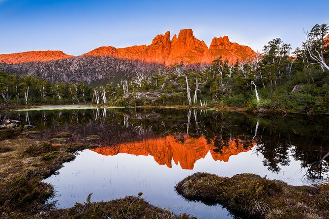 After Dark Tasmanian Devil Feeding Tour at Cradle Mountain - Pricing and Overall Value