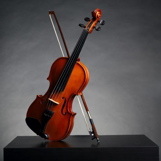 Afternoon Access to Accademia Gallery: David & Stradivarius - Introduction