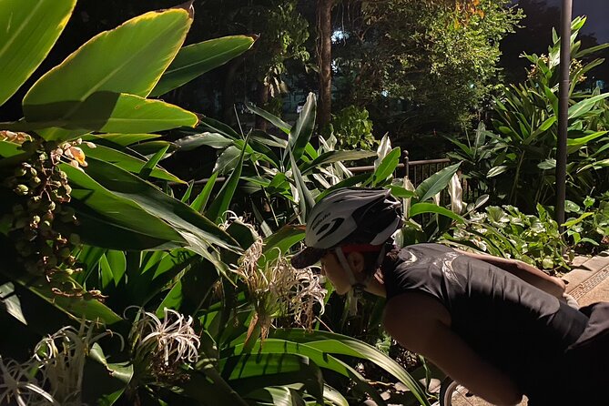 Afternoon Adventure: Okinawa Local Cycling With Spectacular Views - Scenic Views and Sunset Rides