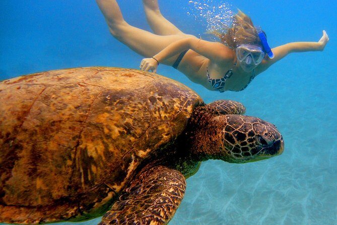 Afternoon Adventure Snorkel from Ka'anapali - The Value: What Does $136 Get You?