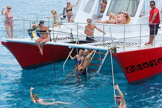 Afternoon Ali'i Adventure - Who Should Consider This Tour?