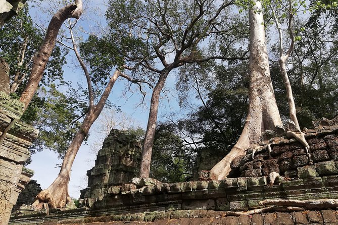 Afternoon Angkor Wat Private Tour with Sunset - Frequently Asked Questions