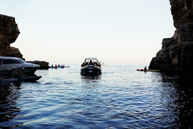 Afternoon Blue Cave Sea Safari - Key Points