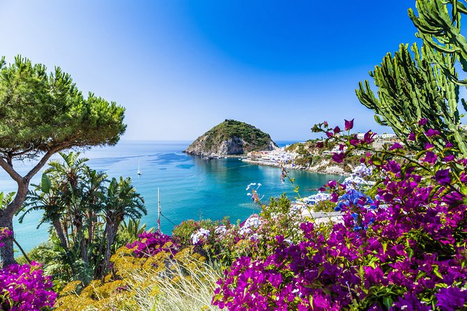 Afternoon Bus Tour of the Island of Ischia - Key Points