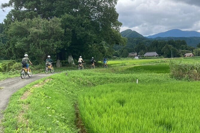 Afternoon Cycling Tour in Naruko - The Sum Up