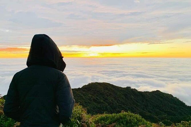 Afternoon Eco Sapa Bus limousine D-car 8-seat depart from Hanoi Old Quarter - The Experience in Context