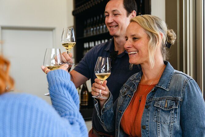 Afternoon Escape Wine Tour - An In-Depth Look at the Tour Experience