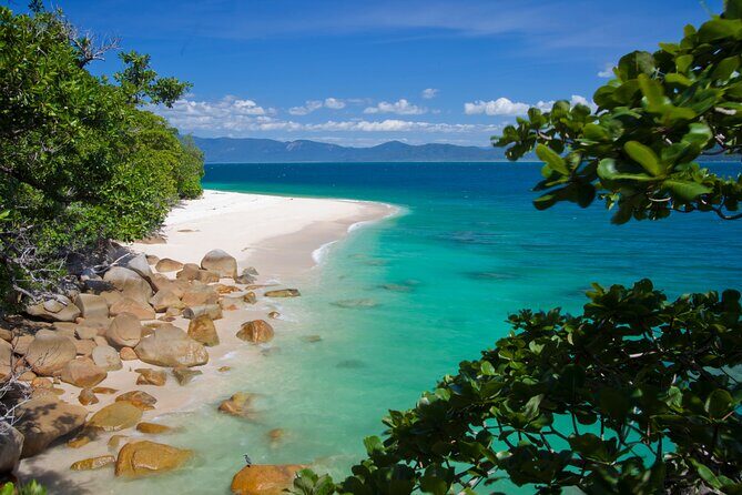 Afternoon Fitzroy Island Escape  Return Ferry Included - An In-Depth Look at the Fitzroy Island Experience