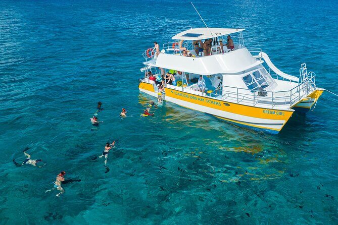 Afternoon Half Day Cruise from Providenciales with Snorkeling and Iguana Island - Food, Drinks, and Overall Value