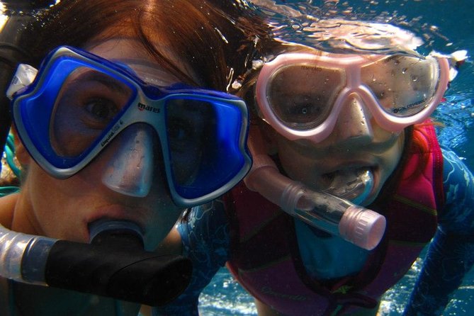 Afternoon Hawaiian Green Sea Turtle and Dolphin Snorkel and Sail - Customer Feedback