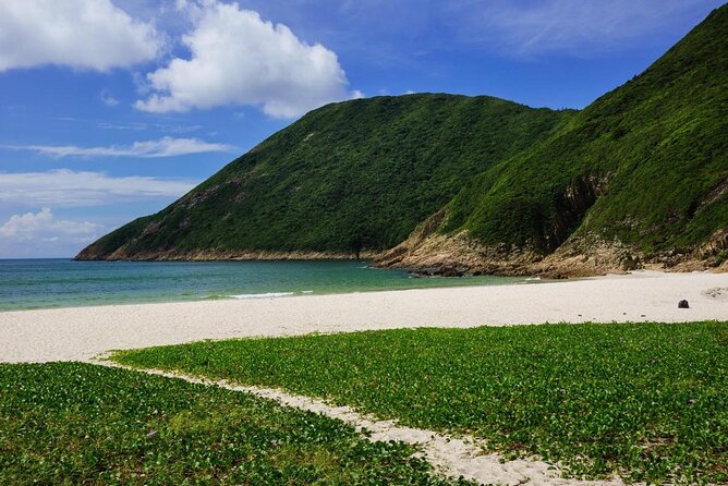 Afternoon Hiking Tour Sharp Island Geopark - Who Should Consider This Tour?