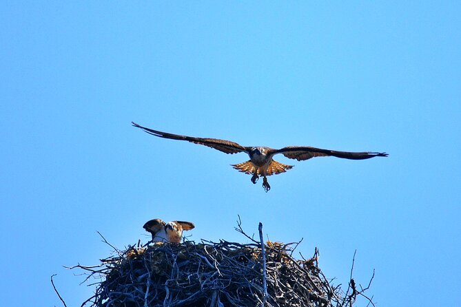Afternoon in Scandola and the Creeks of Piana With a Stop in Girolata - The Charming Village of Girolata