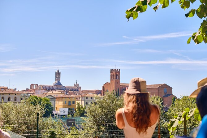 Afternoon in Siena and Chianti Wine Tour With Dinner From Florence - Traveler Tips and Recommendations