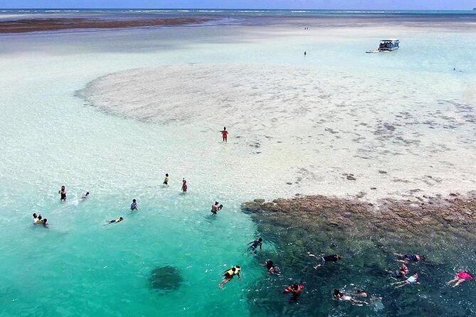 Afternoon Kaneohe Sandbar Snorkeling Tour - What Makes This Tour Stand Out?