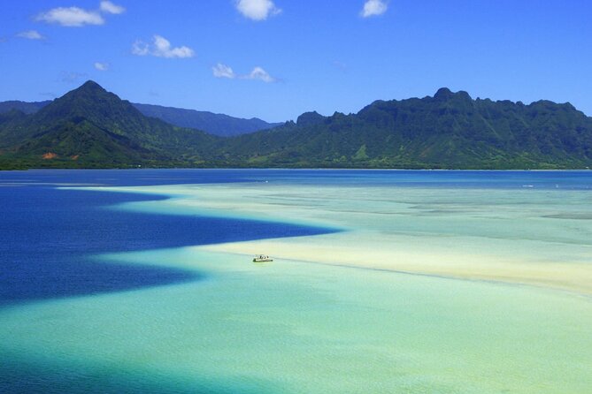 Afternoon Kaneohe Sandbar Snorkeling Tour - Who Will Love This Tour?
