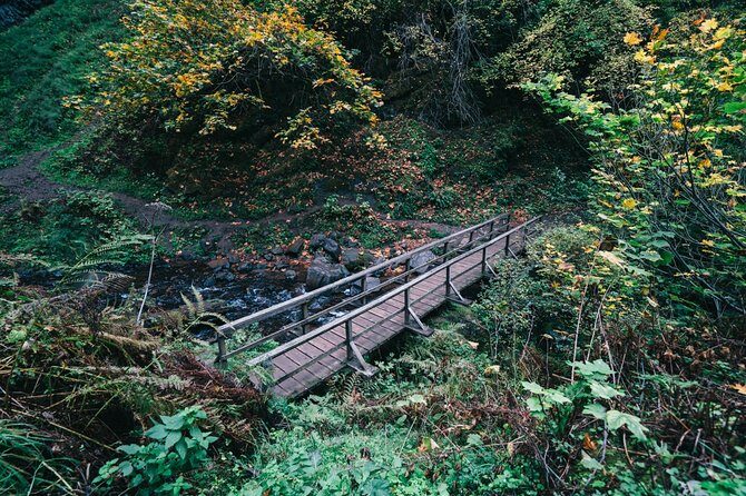 Afternoon Multnomah Falls and Gorge Waterfalls Tour - What to Expect from the Tour