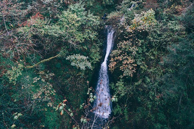 Afternoon Multnomah Falls and Gorge Waterfalls Tour - Who Should Book This Tour?