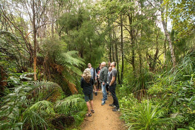 Afternoon Piha Beach and Rainforest Tour from Auckland - Frequently Asked Questions