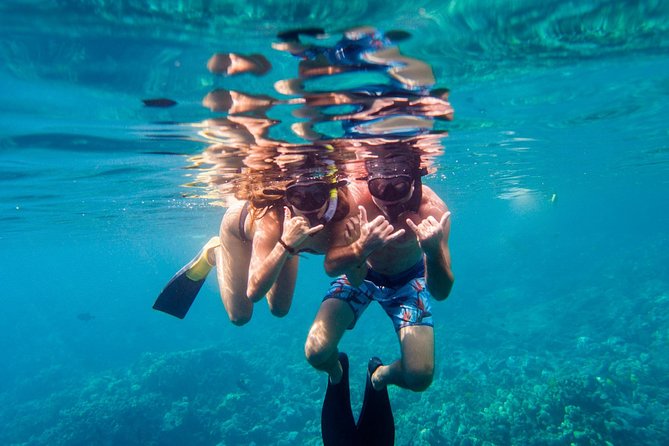 Afternoon Sail & Snorkel to the Captain Cook Monument - Practical Details and Value
