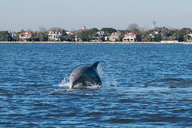 Afternoon Schooner Sightseeing Dolphin Cruise on Charleston Harbor - Amenities Onboard