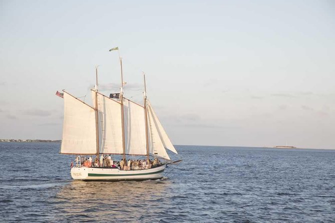 Afternoon Schooner Sightseeing Dolphin Cruise on Charleston Harbor - Customer Feedback
