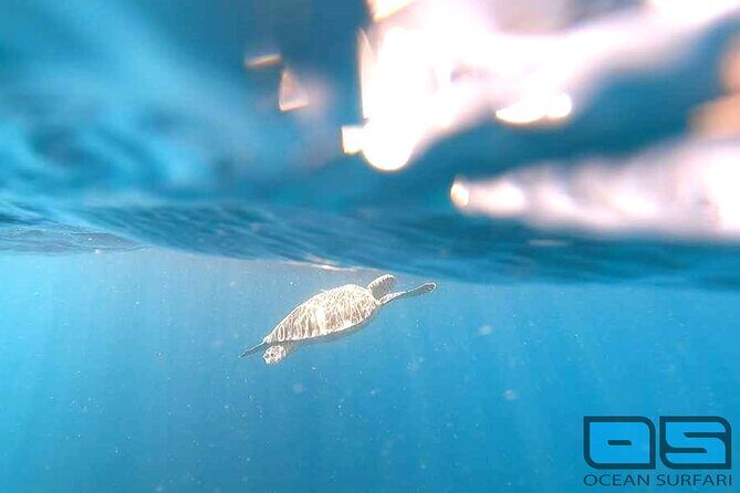 Afternoon Snorkel, Pizza & Sunset Tour departing from St. Thomas & St. John - An In-Depth Look at the Experience