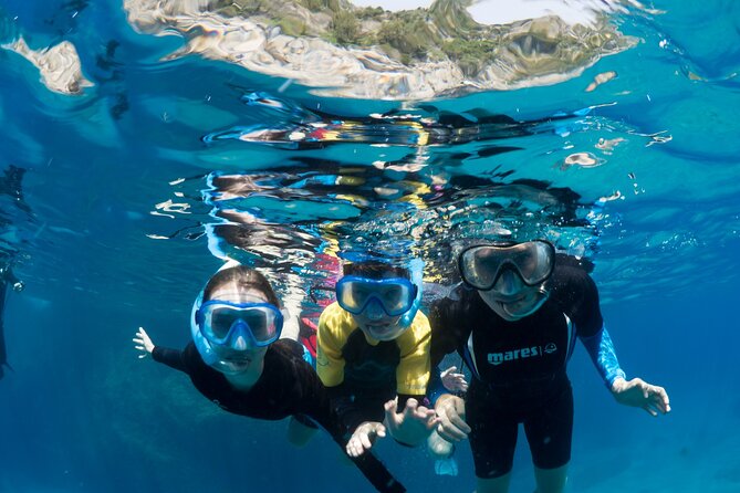 Afternoon snorkelling guided by a marine biologist in Sorrento - Price and Value: Is It Worth It?