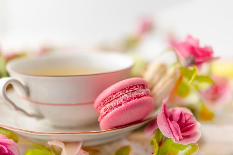 Afternoon Tea at Konopit Castle: Aristocratic Tradition - Key Points