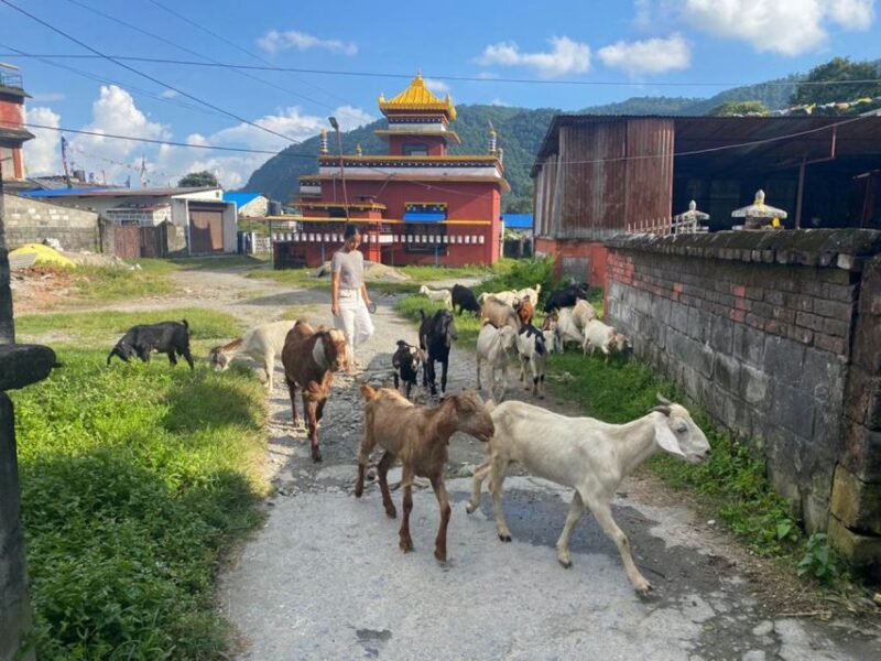 Afternoon Tibetan cultural tour - Introduction