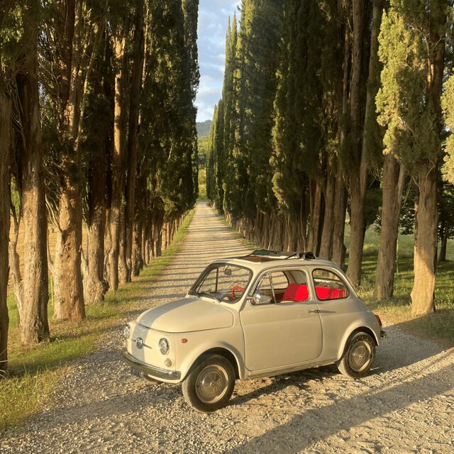 Afternoon Tour in Fiat 500: Florence Self Drive, 16-18 - The Drive Through Florence