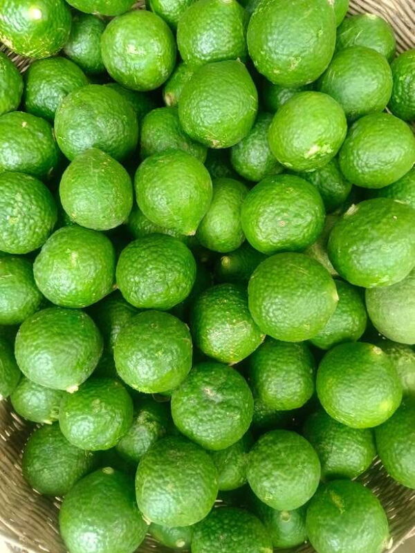 Afternoon tour through Battambang, Local area and landmarks - Key Points