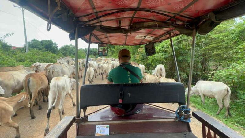 Afternoon tour through Battambang, Local area and landmarks - The Experience of Guides and Personal Touches