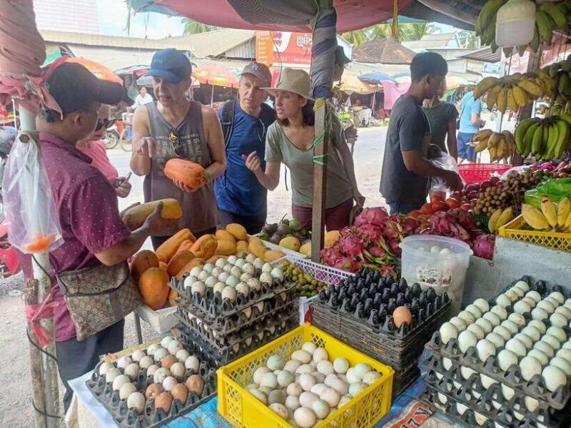 Afternoon tour through Battambang, Local area and landmarks - Who Will Enjoy This Tour?
