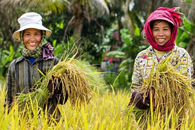 Afternoon tour to Original Bamboo train. Bat cave. Killing cave - Introduction