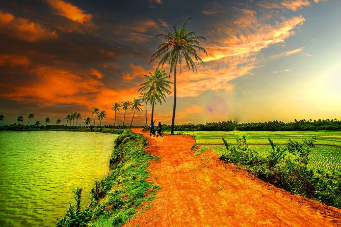 Afternoon tour to Original Bamboo train. Bat cave. Killing cave - FAQ