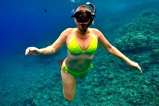 Afternoon Turtle Town Snorkel at Coral Gardens - Additional Practical Details