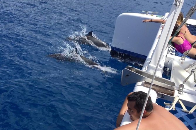 Afternoon West Maui Snorkel from Ka’anapali Beach - Authentic Marine Encounters and Crew Excellence