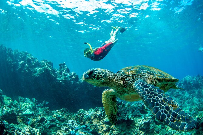Afternoon West Maui Snorkel from Ka’anapali Beach - FAQs