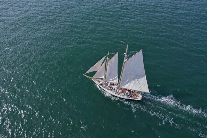 Afternoon Windjammer Cruise Along the Coast of Portland Maine - Price and Value