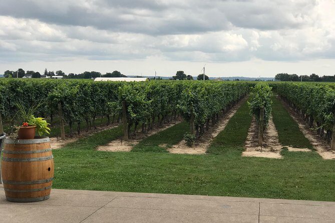 Afternoon Wine, Beer & Charcuterie Tour - An In-Depth Look at the Tour Experience