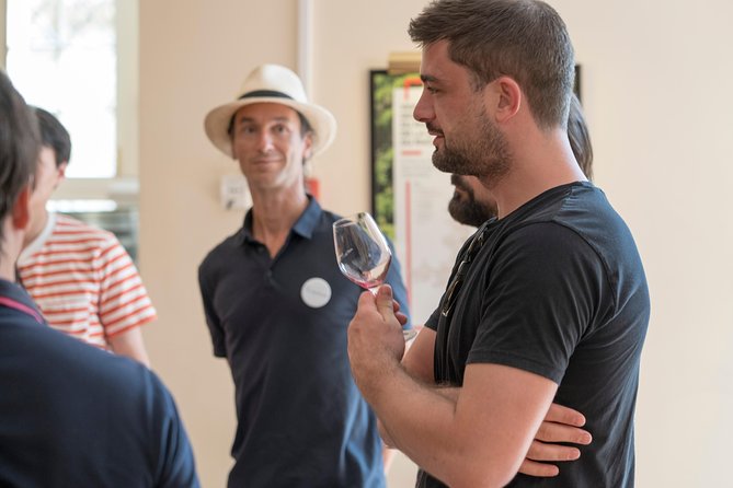 Afternoon Wine Tour to Chateauneuf du Pape from Avignon - The Guide and The Reviews