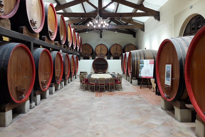 Afternoon Wine Tour to Chateauneuf du Pape from Avignon - Final Thoughts: Is This Tour For You?