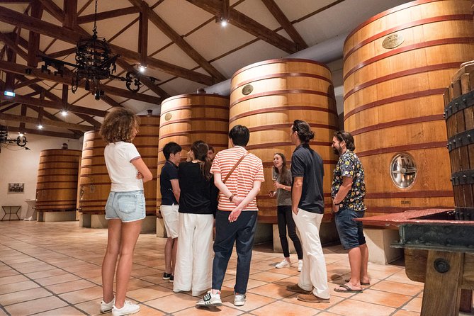 Afternoon Wine Tour to Chateauneuf Du Pape Review - Traveler Experiences and Feedback
