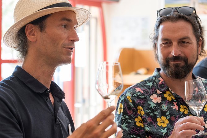 Afternoon Wine Tour to Chateauneuf Du Pape Review - Exploring the Rhône Valley Vineyards